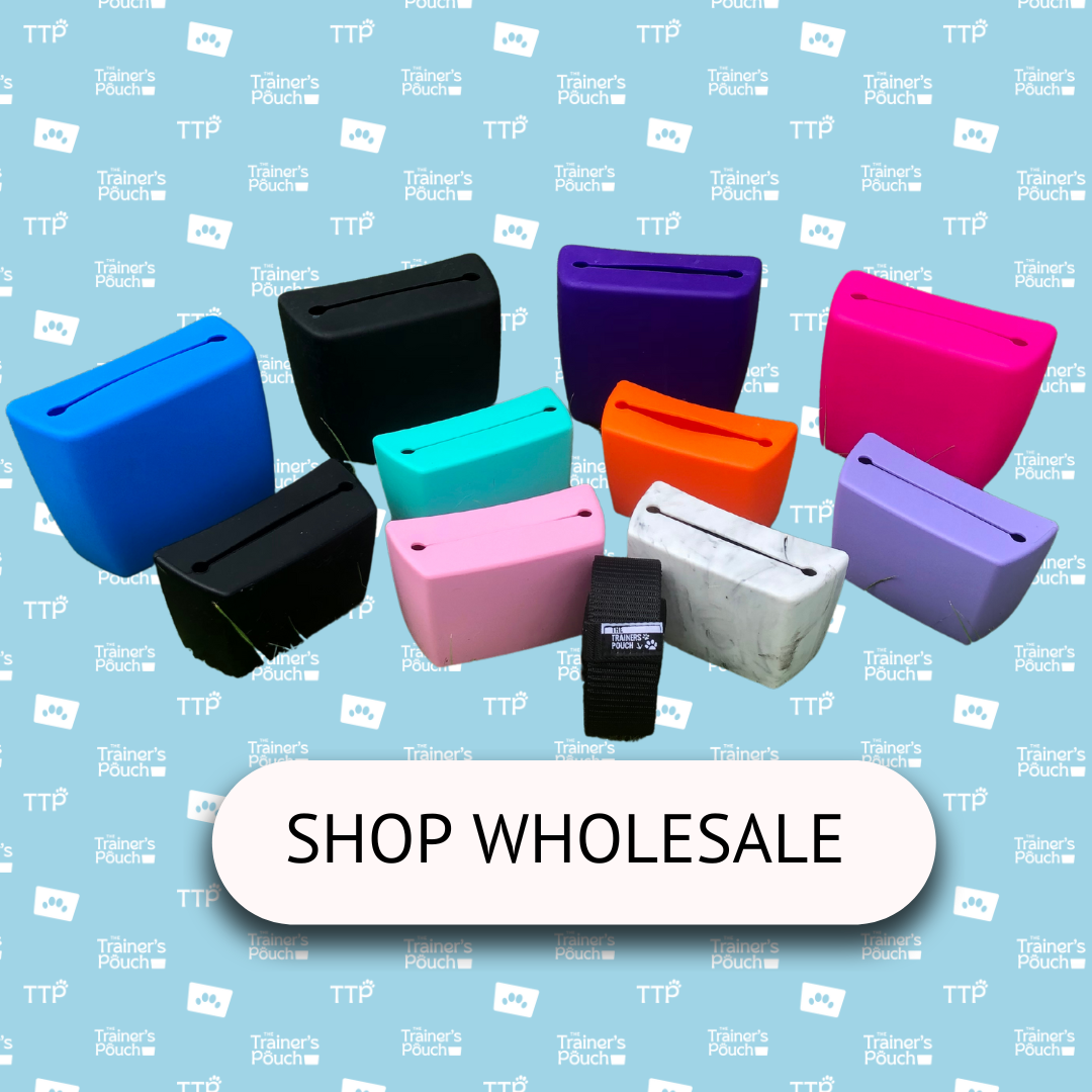 Shop Wholesale – The Trainer's Pouch